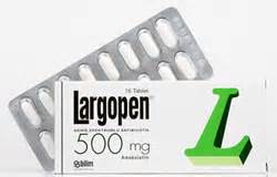 Largopen 500 Mg Kapsul (16 Kapsul) Fiyatı